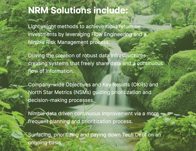 Nimble Risk Management